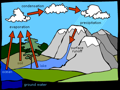 Hoopman's Science: Grade 8 Week 11: The Water Cycle