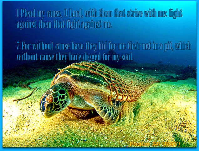 Red Pill Diaries Psalm 35 KJV red-pill-diaries-psalm-35-kjv