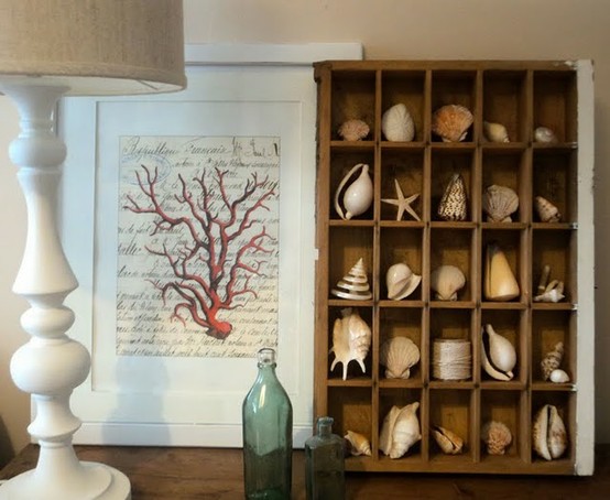 Create a Seashell Collection Box