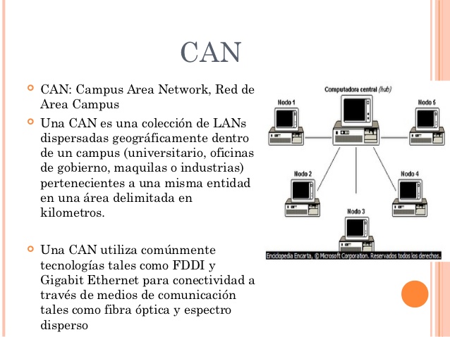 Virus Informáticos : Taller 4 - Redes Informaticas