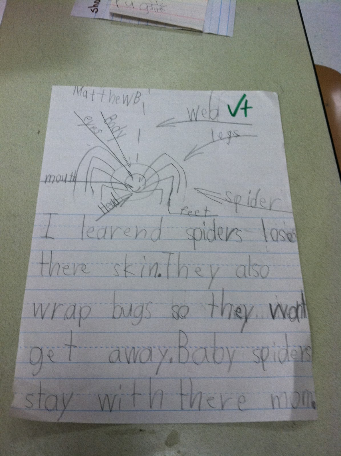 First Grade Fabulous Fish: Pumpkins, Spiders, and Bats . . . Oh, MY!!!