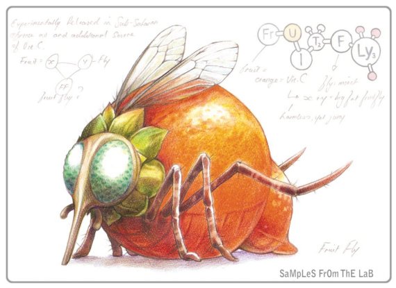 Pinzellades al món: Fruitanimals: il·lustracions de Rob Foote ...