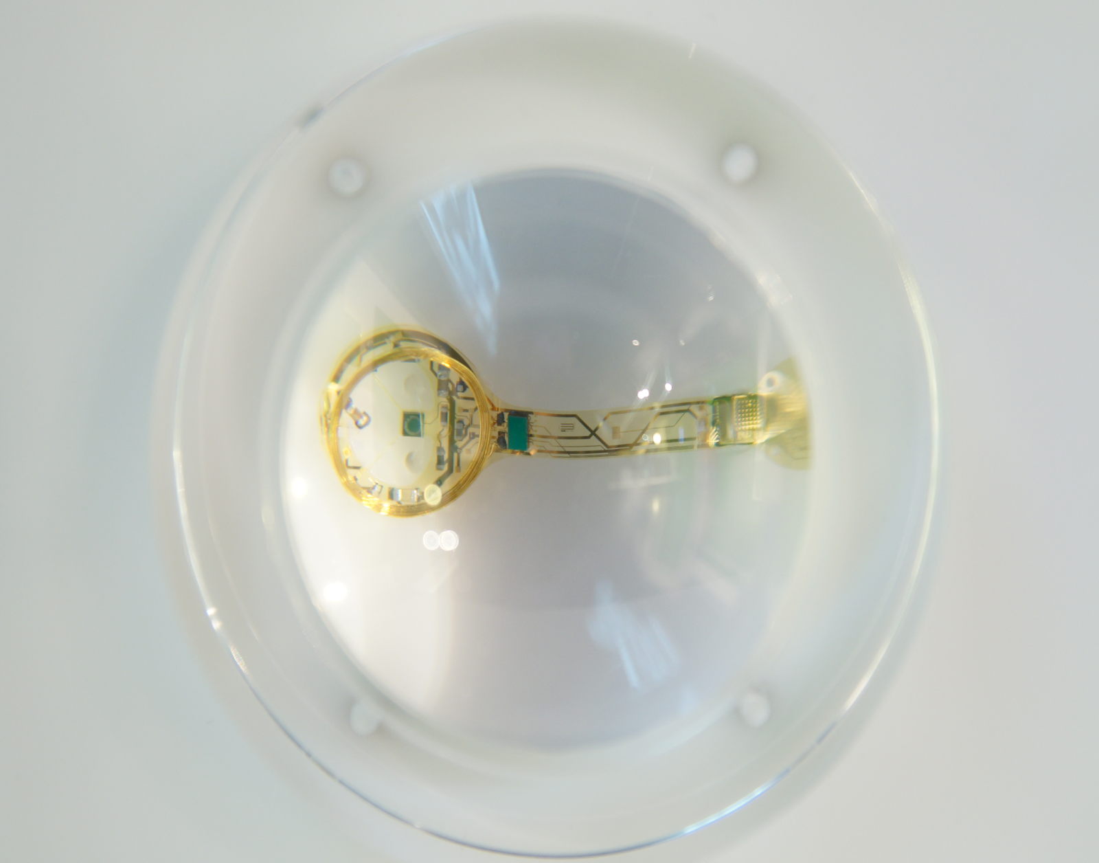 CNS Newsletter: Retinal Implants