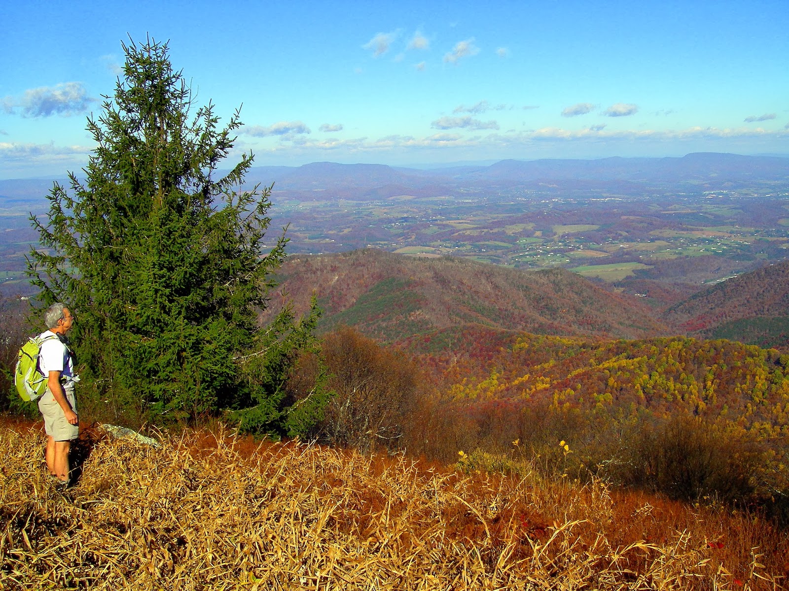 Peaks & Paths: Bluff Mountain And Hellgate Ridge - Neglect and Rediscovery