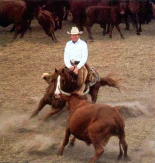 Cavalos que fizeram História: Peppy San Badger (Little Peppy) - 1977