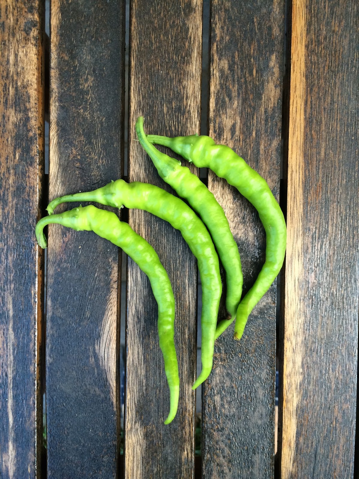 RECETíVOROS: GUINDILLAS VASCAS "EMBOTADAS"