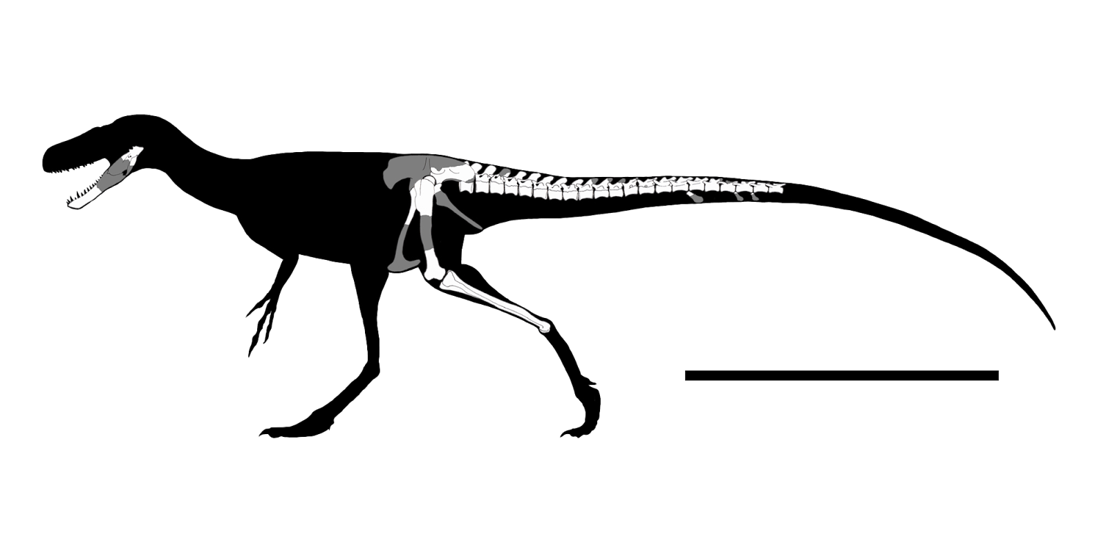 The Expeditioner's Discovery Guild: A little bit of Everything: Paleo ...