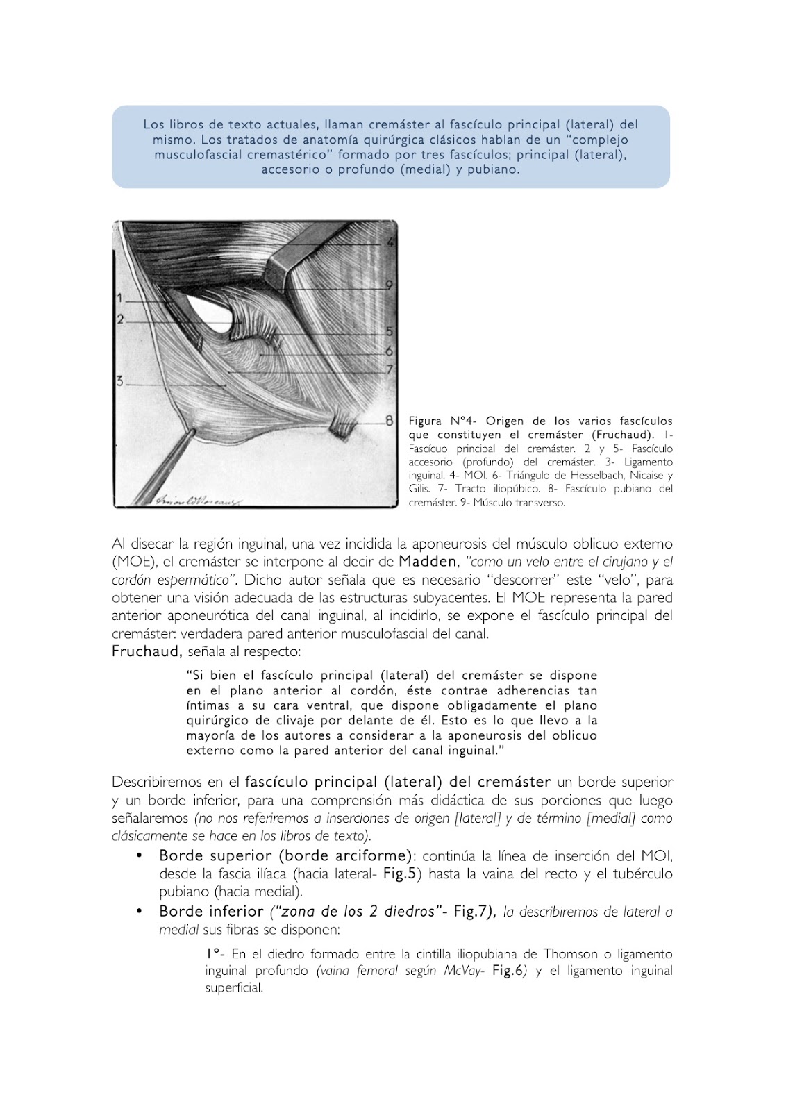 Cuadernos de Anatomía Quirúrgica: Anatomía quirúrgica del cremáster.