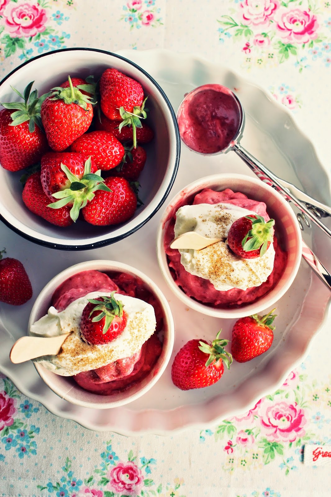 Schnelles Erdbeer Frozen Yogurt - Erdbeer- & Rhabarberzeit (3)