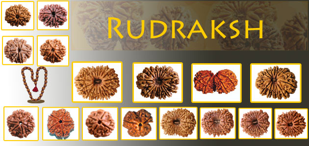 srie connections: What Is Rudraksha?