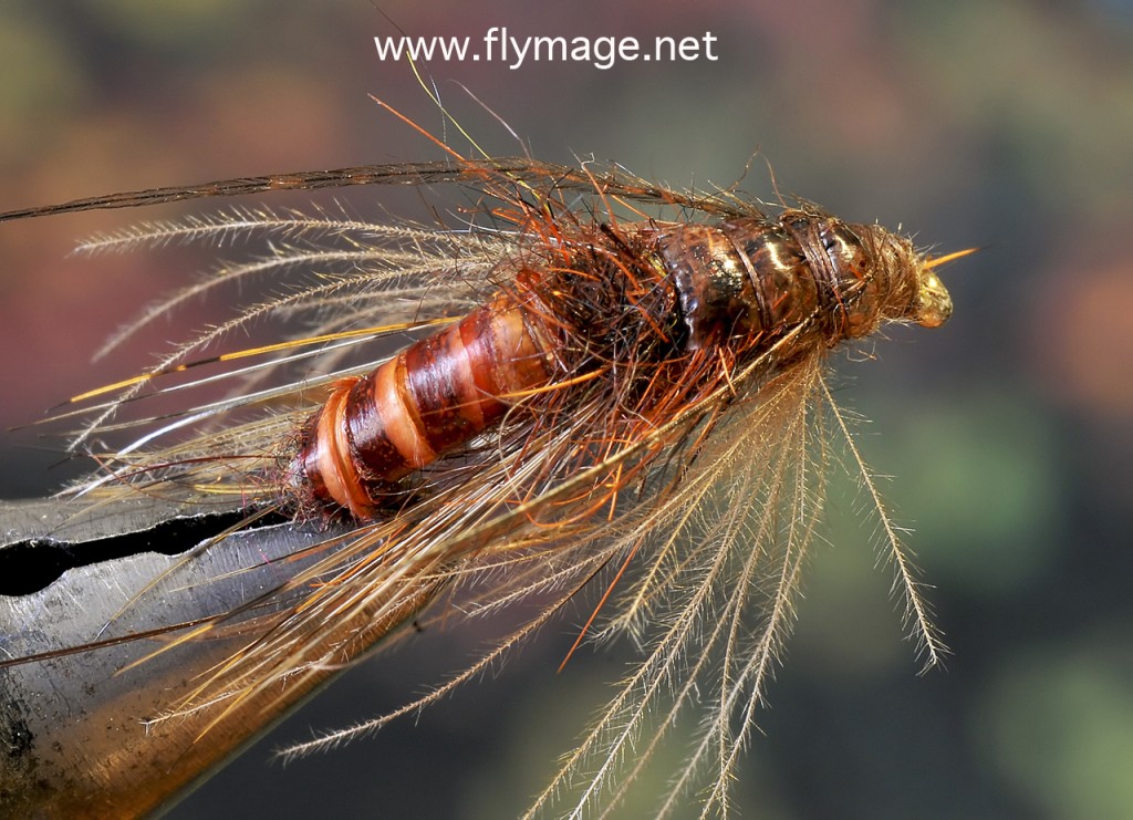 DE PESCA A MOSCA Y NUESTROS RIOS: EL CANUTILLO