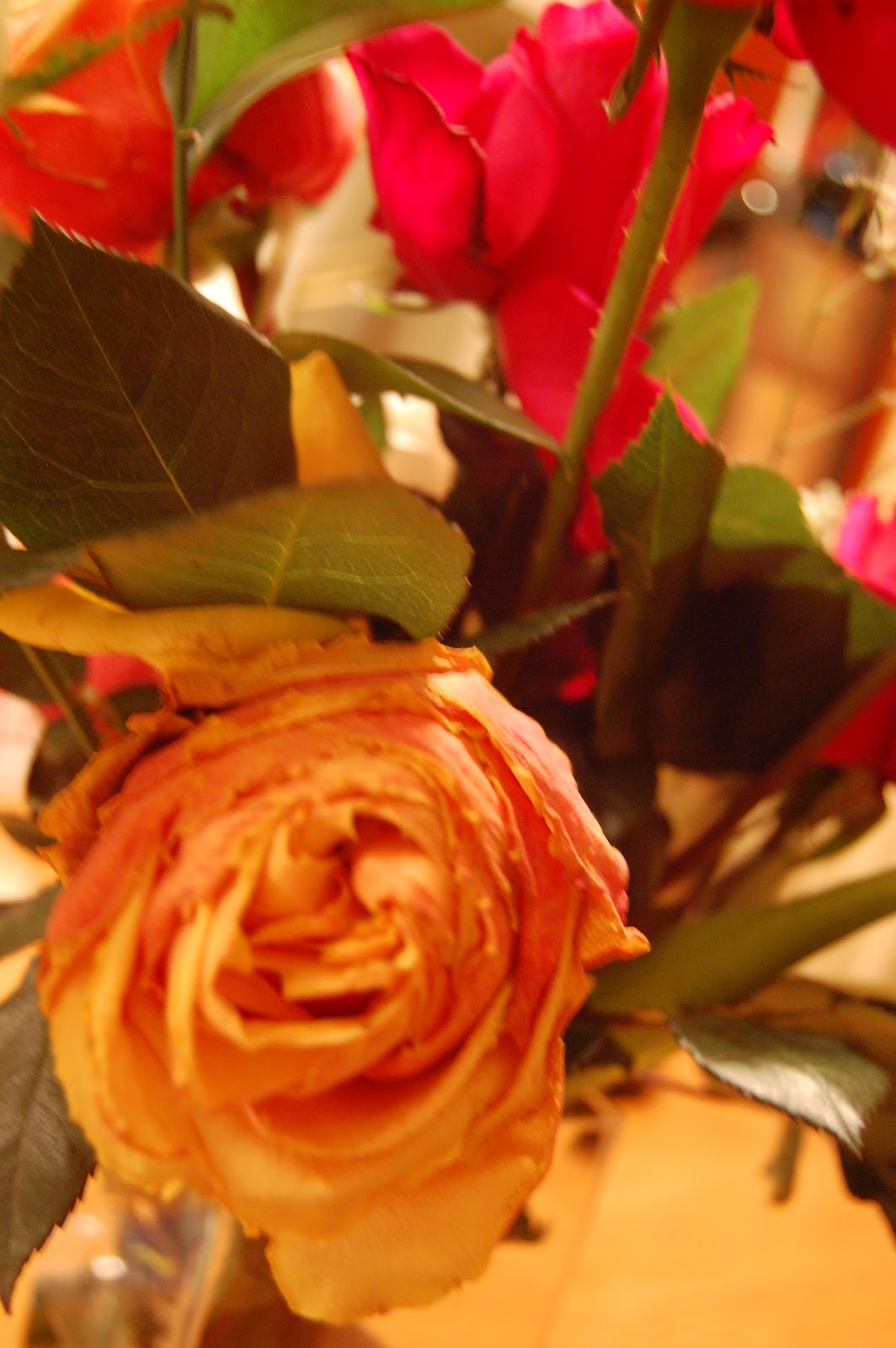 Dancing Words Sexy Roses