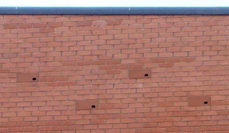 Action for Swifts: Swifts occupy Ibstock swift bricks at Antrim County ...