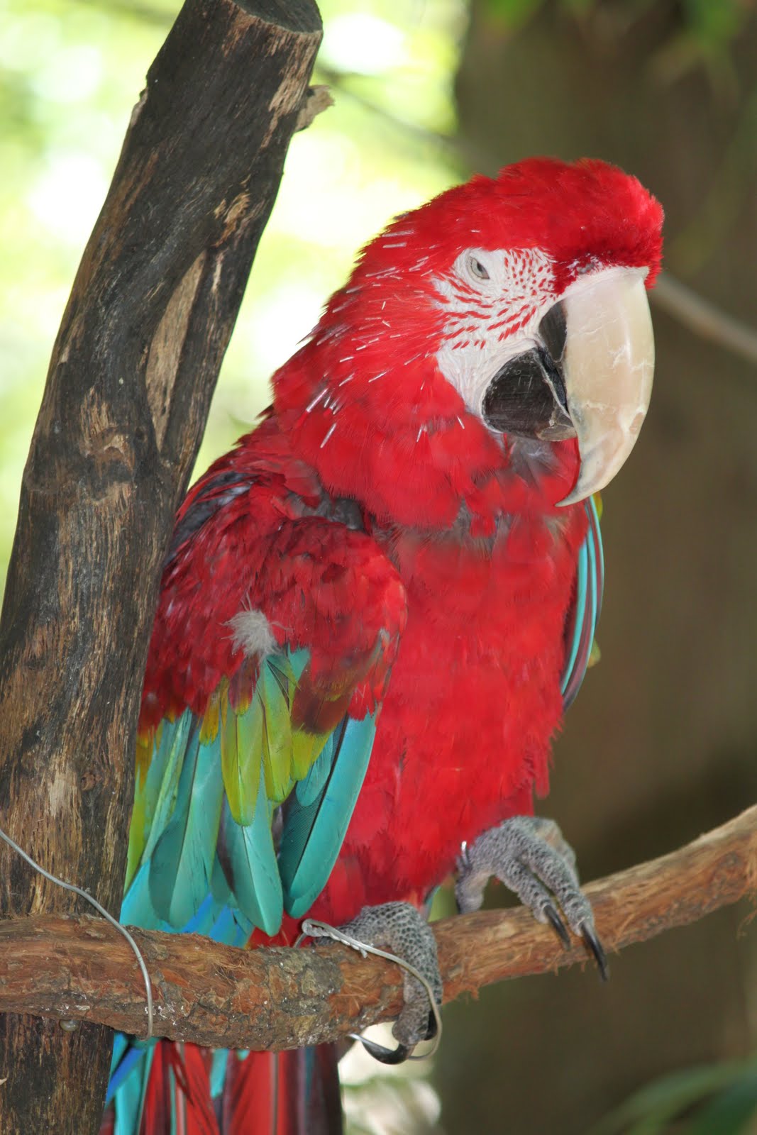 The Robertson Family: New Orleans Zoo