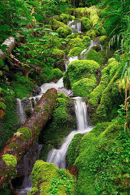 Japanese Southern Alps | World's Snaps