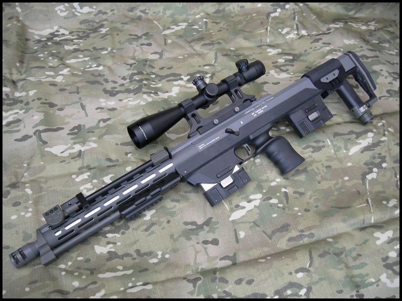 Desarrollo y Defensa: Recordando al fusil de de precisión: AMP DSR-1