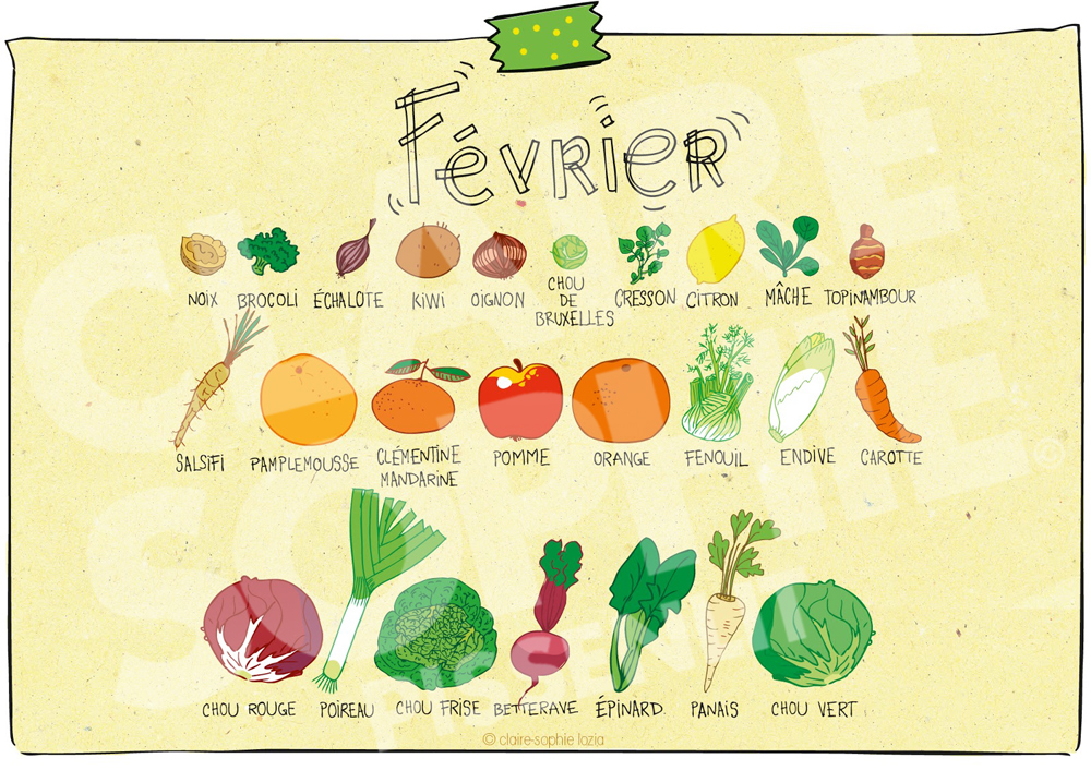 Février - Calendrier des fruits et légumes | pissenlit