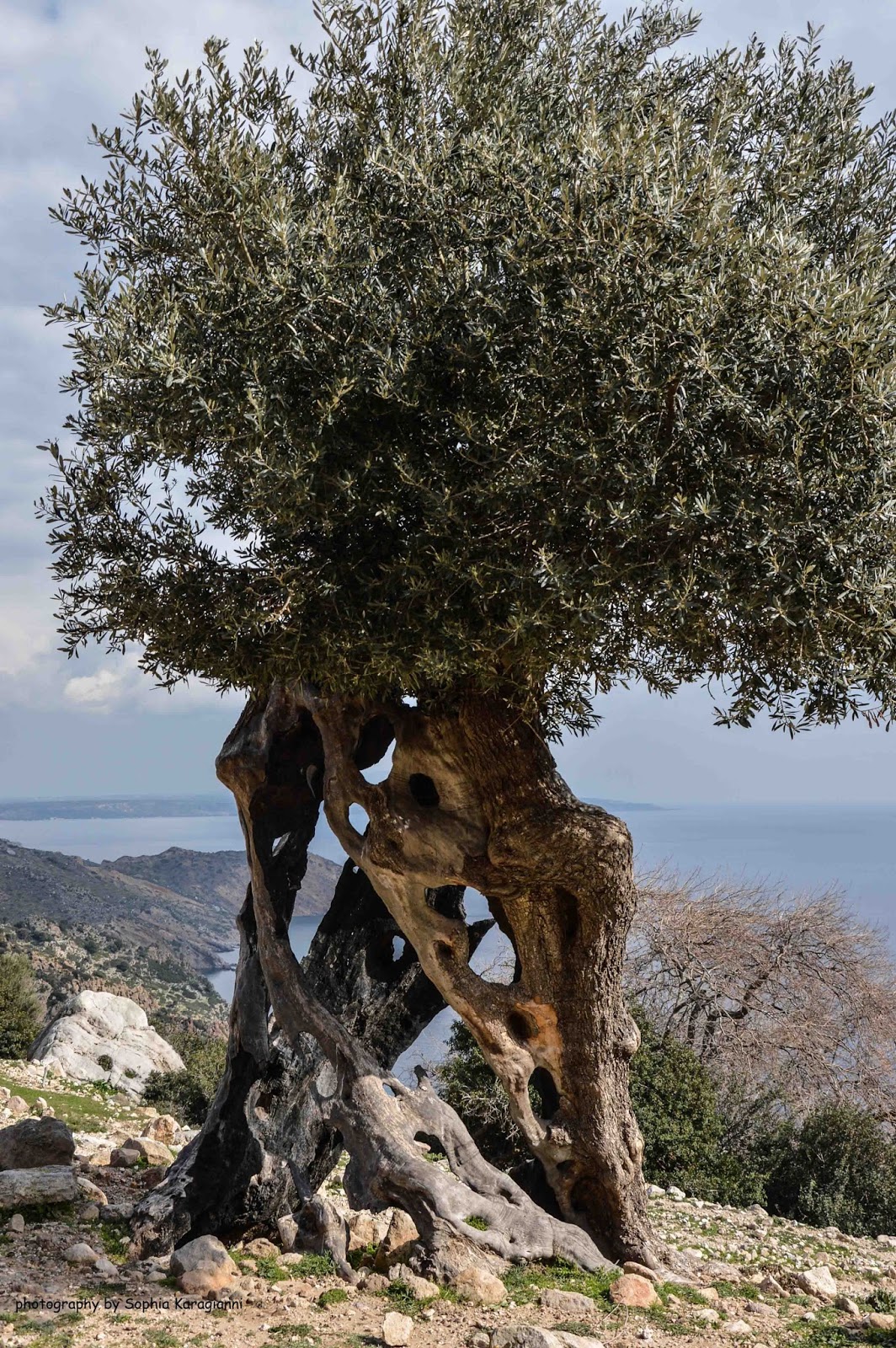 Kos and the Dodecanese through my eyes-Η Κως και τα γύρω νησιά μέσα από ...