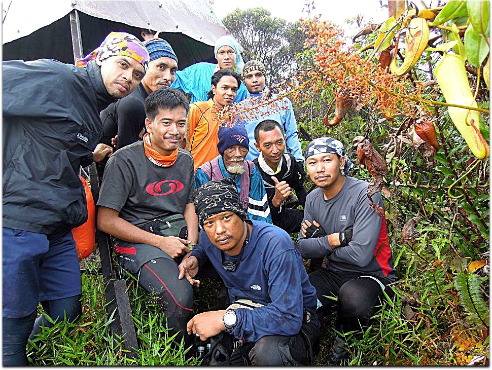 KGS: G7 - G11 series | Gerah - Bilah - Bieh