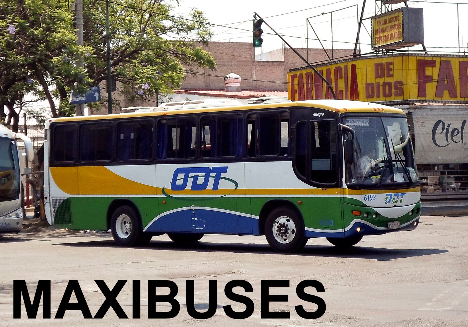 MAXIBUSES: OMNIBUS DE TIZAYUCA - ODT
