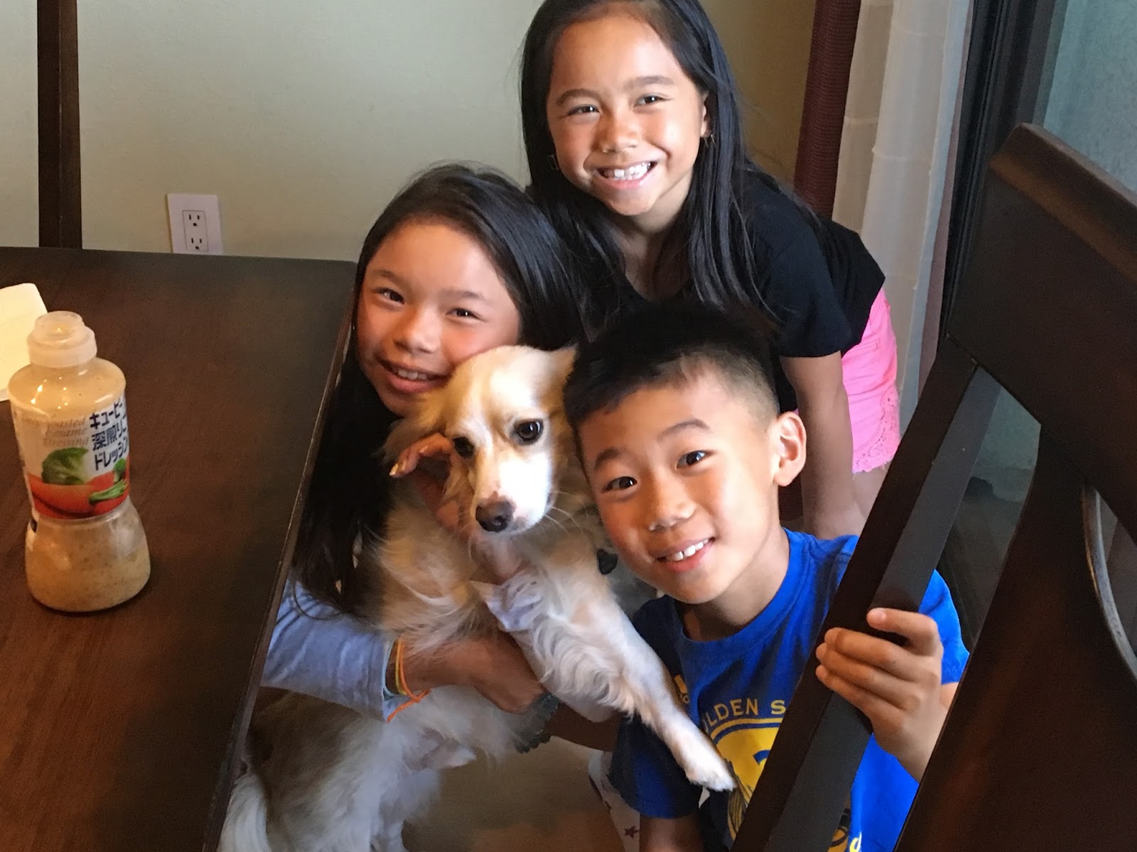 Brigitte's Life: Sam & Ivy are so cute! サムちゃんとアイブィーちゃんは可愛すぎ💓