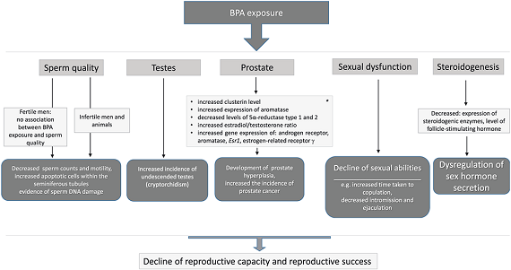 Plasticized - Put Up or Shut Up: How Toxic is Our Daily Load of ...