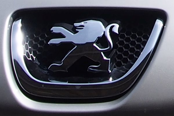 notebook: IrfanViewで画像の切り取り