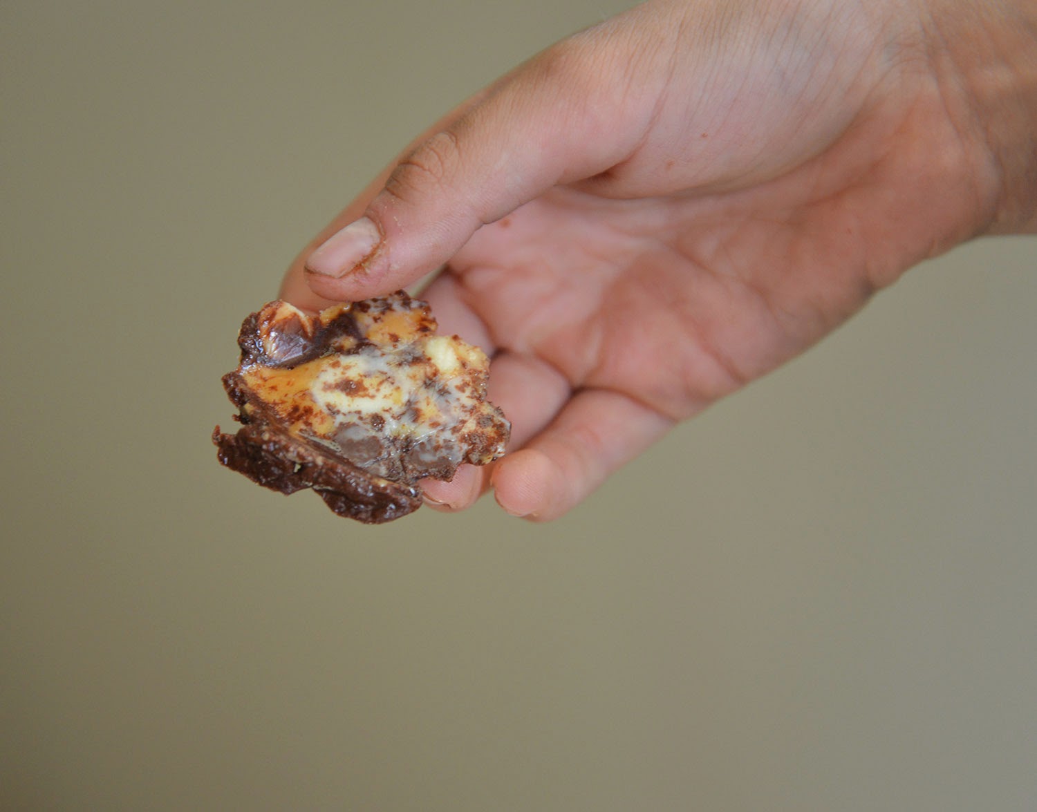 A school of fish: Chocolate Rock Cycle