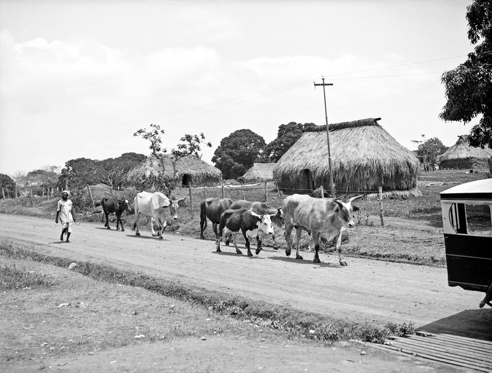 History in Photos: Fiji