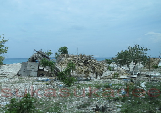 Keindahan Alam dan Budaya Pulau Timor di Perjalanan Kupang – Soe ...
