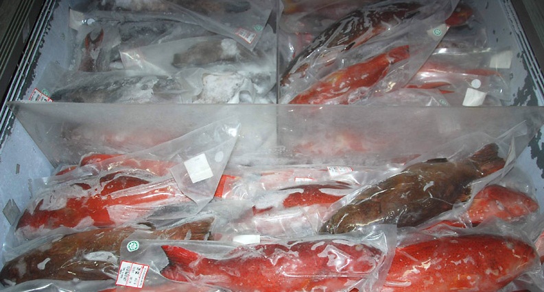 Why youneed to buy grouper from grouper fish suppliers?
