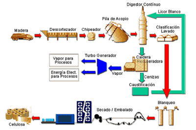 Todo sobre la madera: proceso de obtencion de la madera