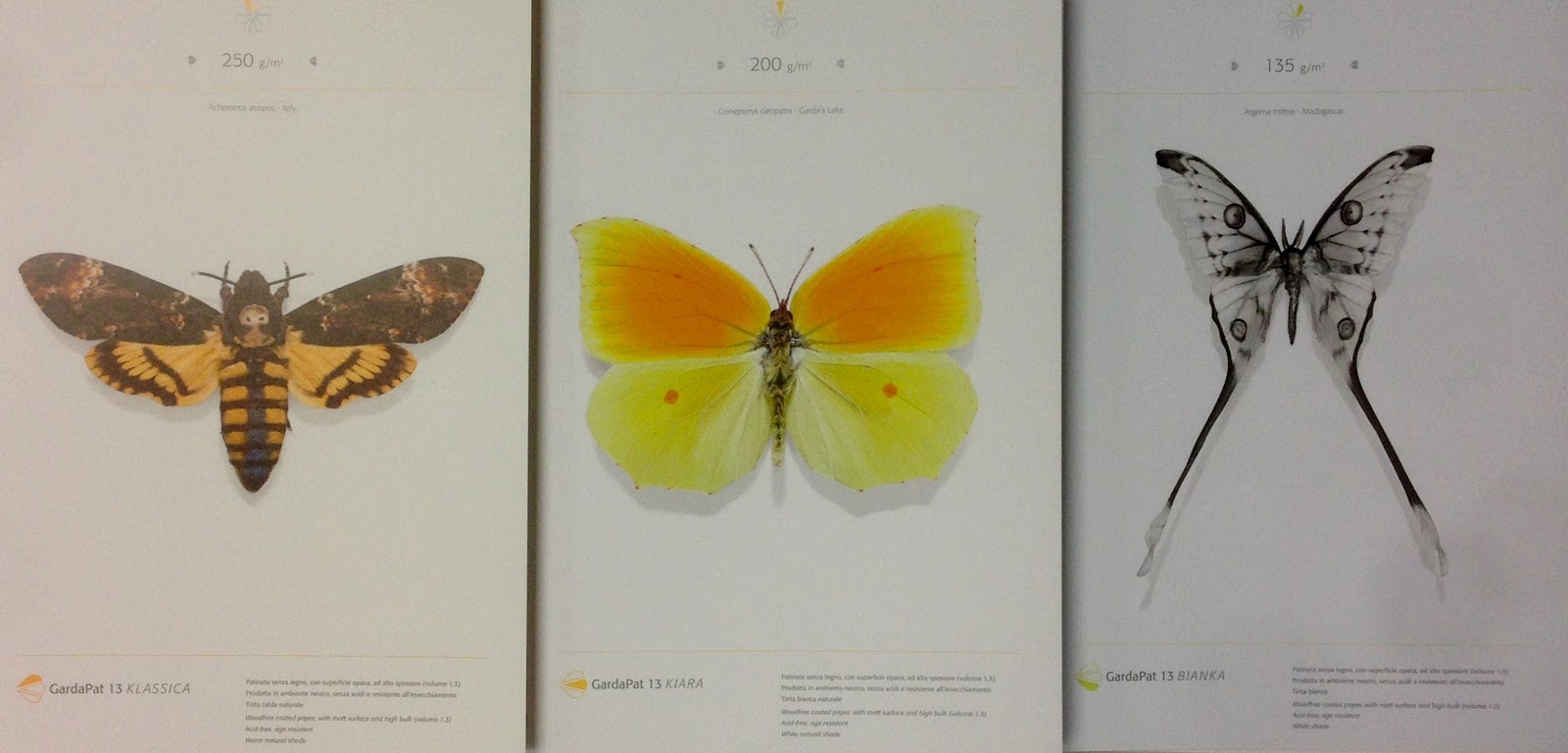 Justin's Amazing World At Fenner Paper: Gardapat 13 Kiara