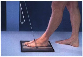 AP WEIGHT-BEARING PROJECTION : FOOT - RadTechOnDuty
