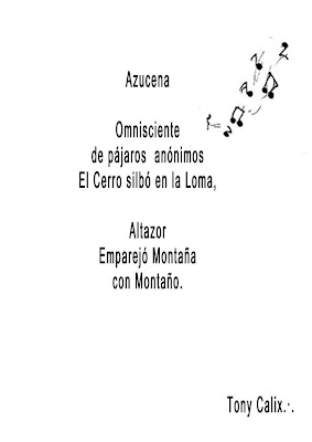 POETAS SIN SOFÁ: ALTAZOR, OBRA CLAVE DE LA POESÍA LATINOAMERICANA