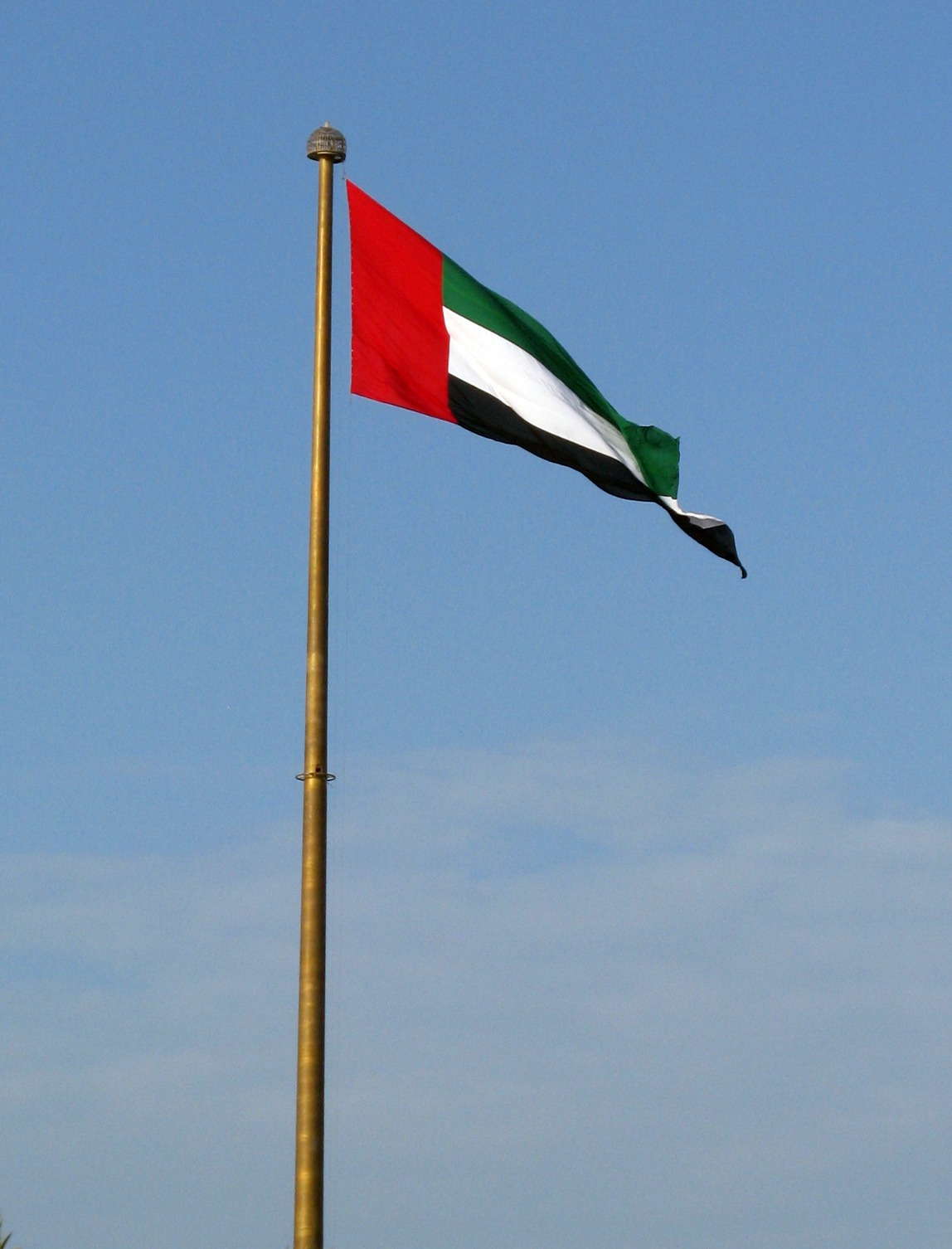 Uae Flag