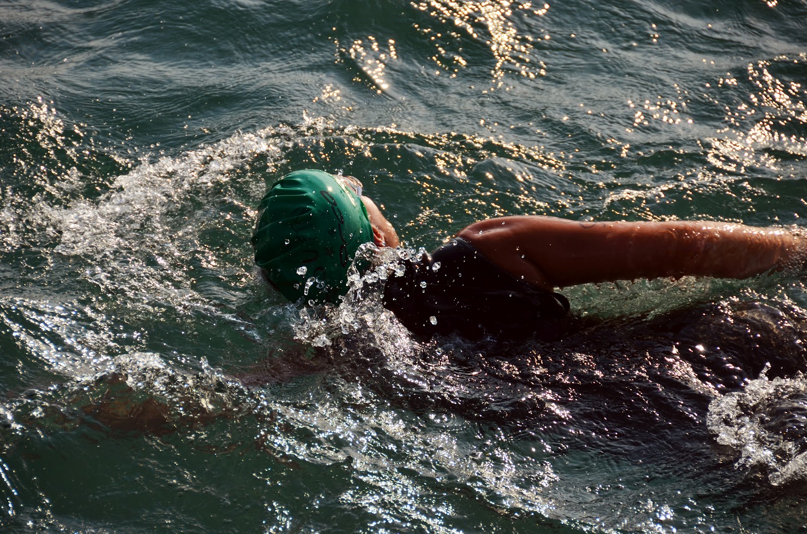 Emily Sutton: Sweet Home Chicago