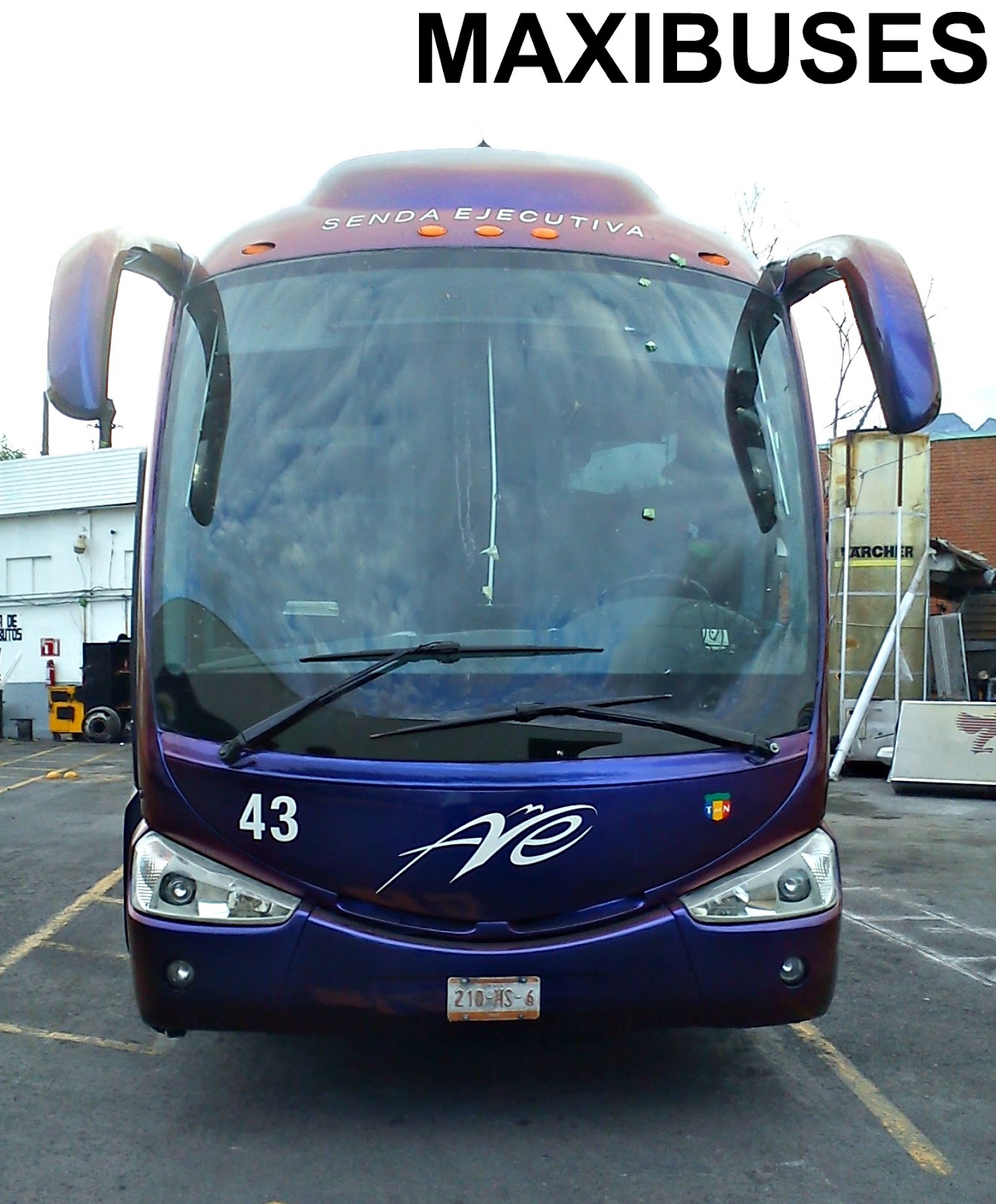 MAXIBUSES: AVE SENDA EJECUTIVA