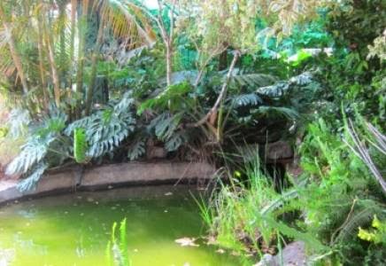 Murambi Gardens Mutare Zimbabwe House | Luxury Mansions and Luxury ...