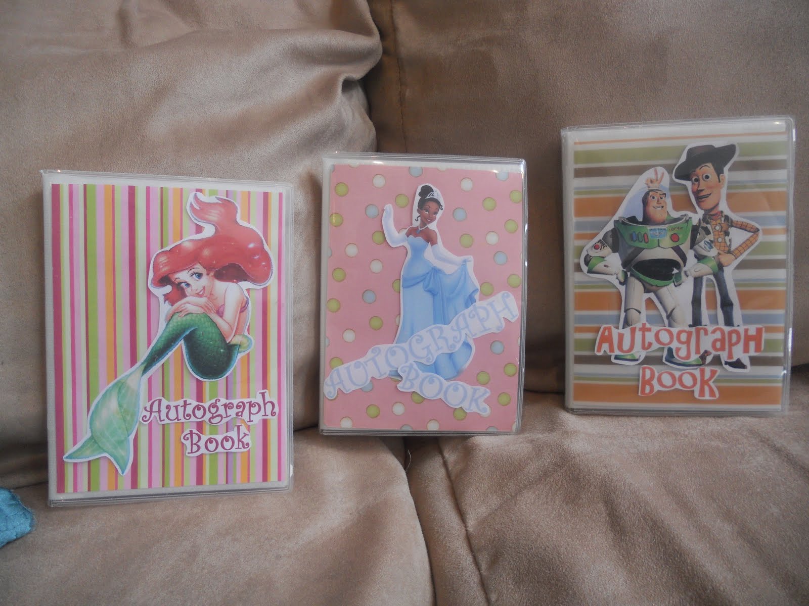 Blue Skies Ahead: Homemade autograph books for Disneyland!!