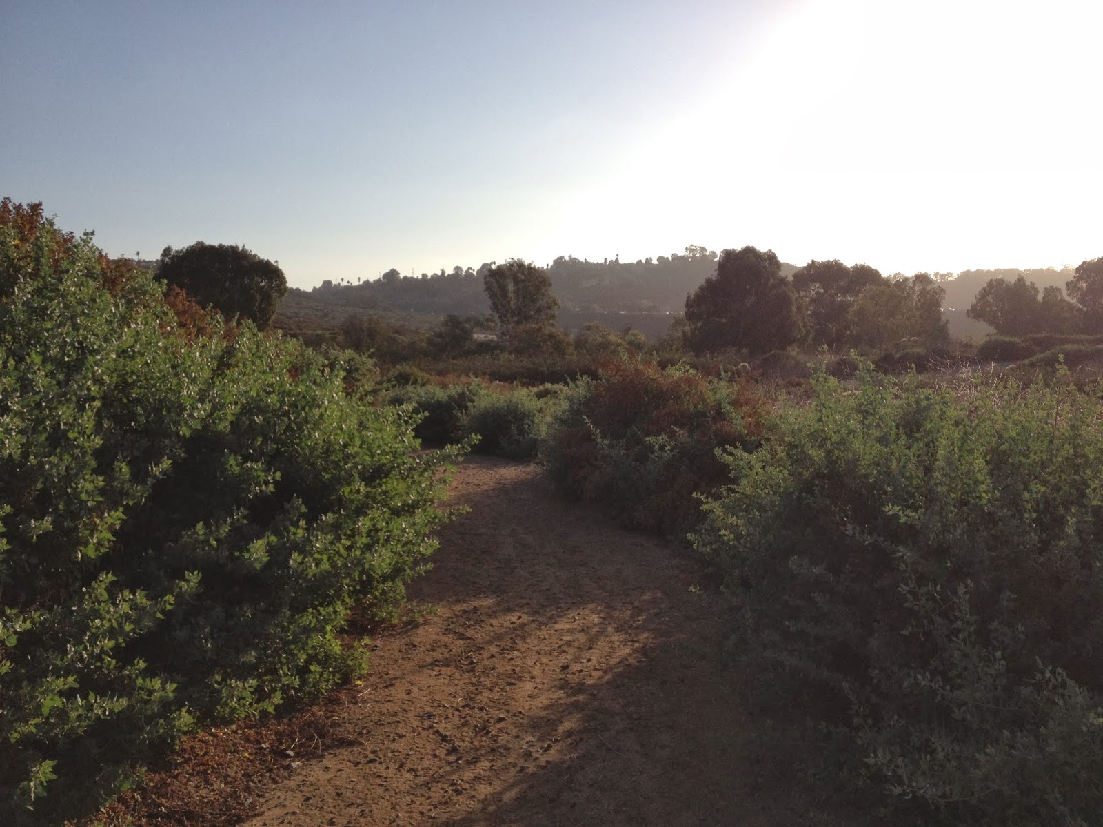 Caleb's Geography Blog: Dust Devil Nature Trail - San Diego, California