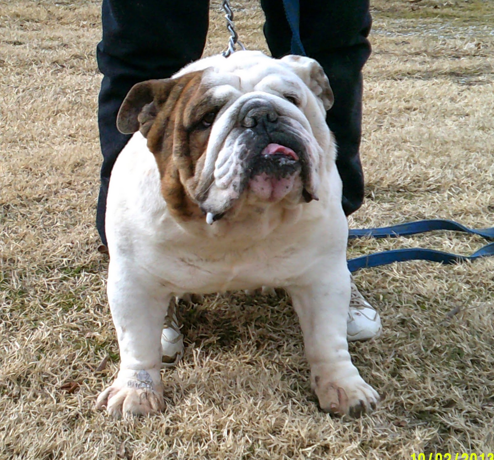 Cowboy Bullies: Hurricane Kys' Rajin' Cajun
