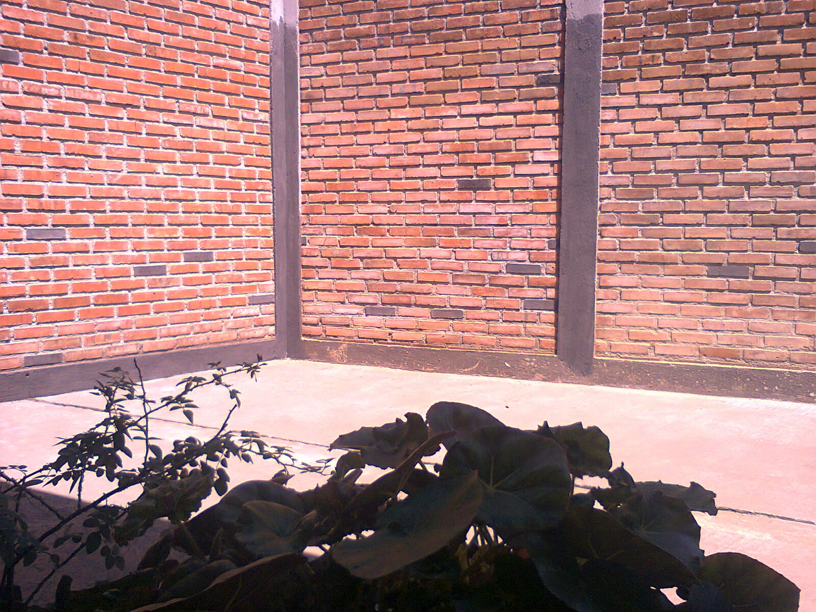 Bata Merah EFOX: Bata Merah EXPOSE