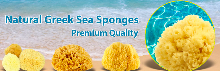 Cambridge Greek Corner