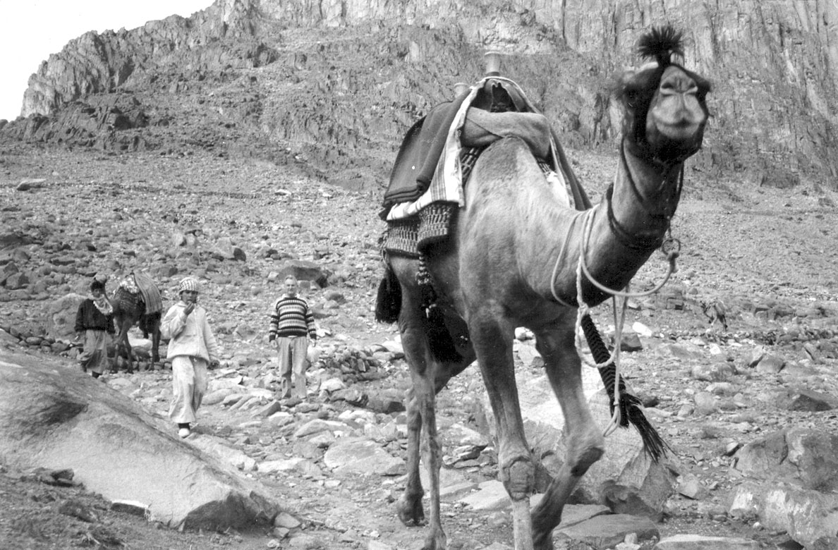 Família Pochini: Álbum de fotos - Parte 1