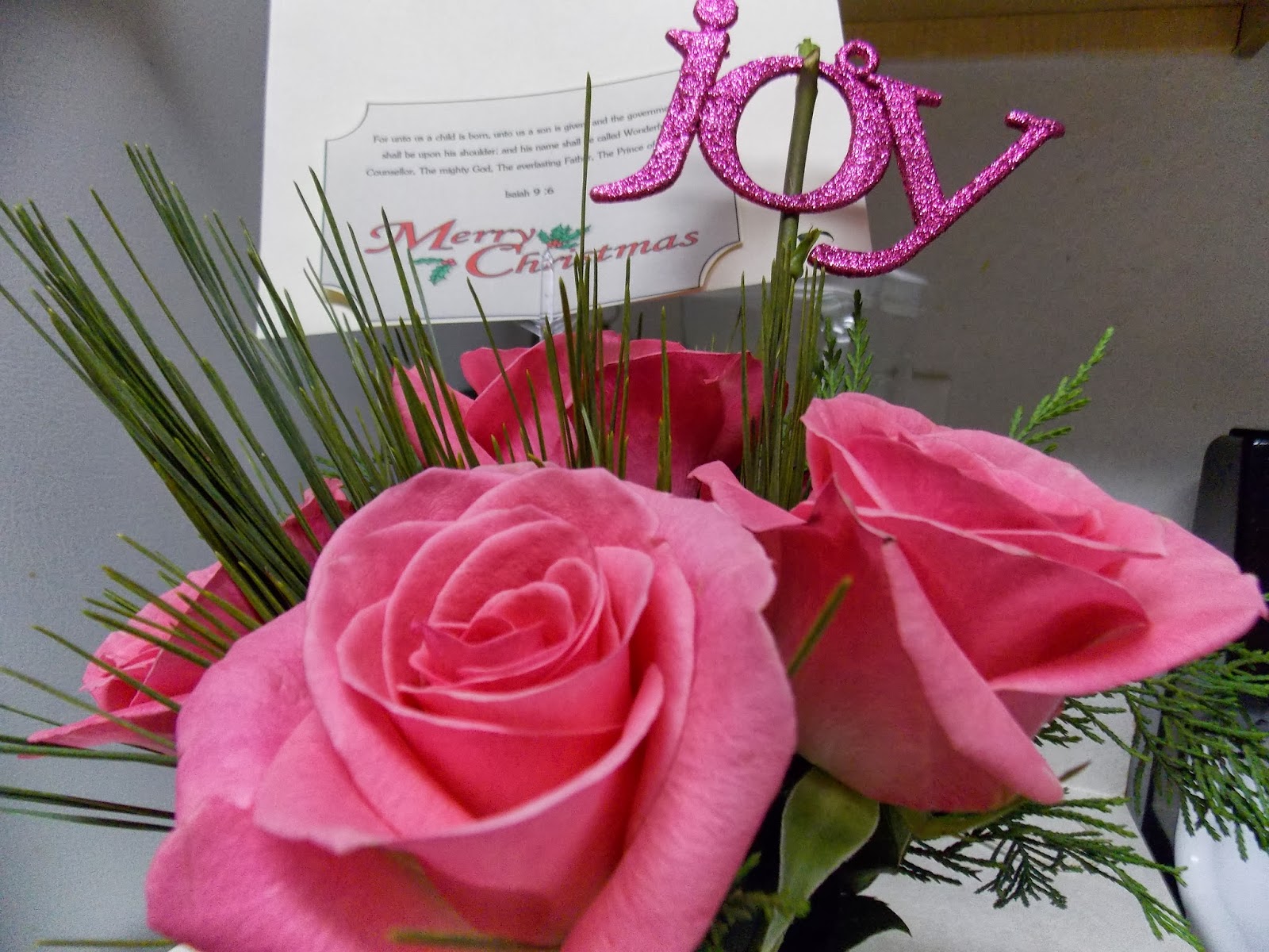Life Between Potato and Rice: Pink Roses For Christmas
