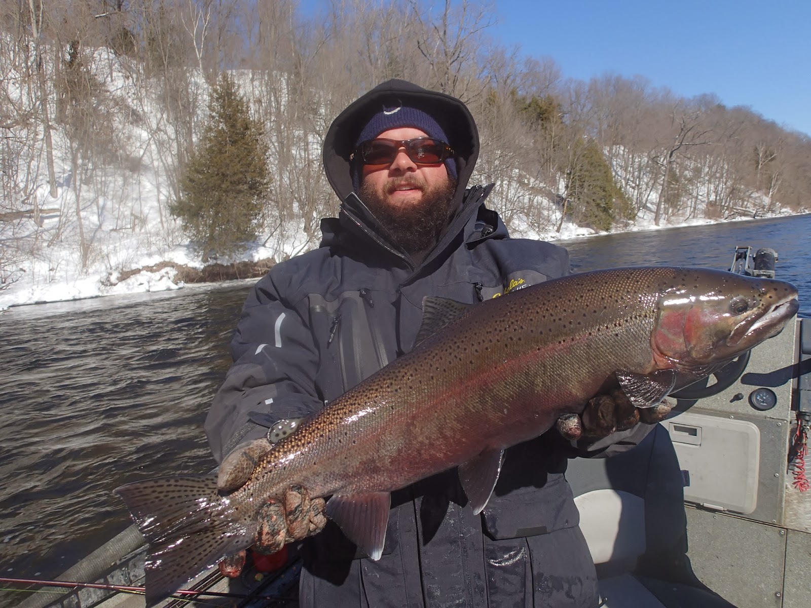 Muskegon River Guide.com: Muskegon River Steelhead Fishing