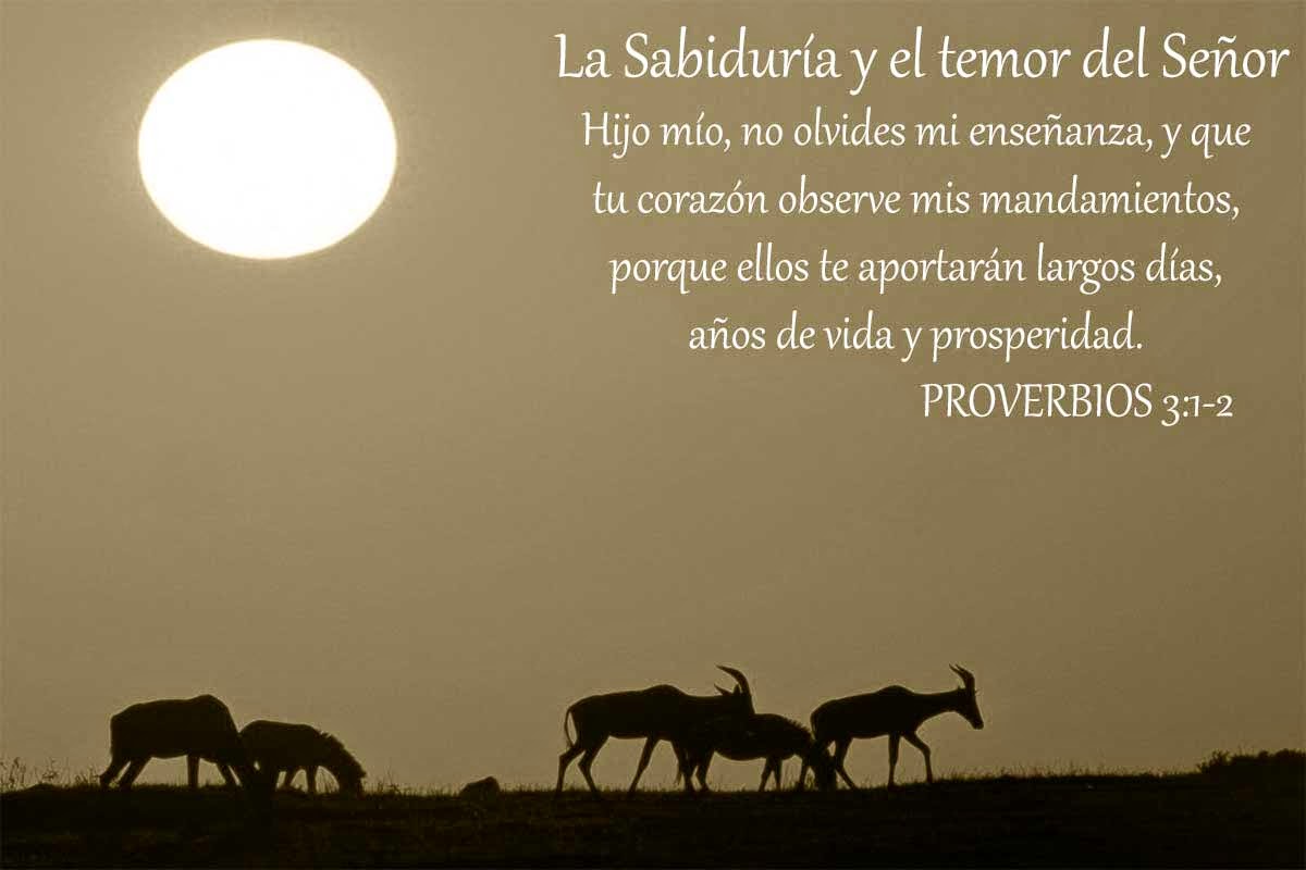 Proverbios 3 1-2 Explicação - LIBRAIN