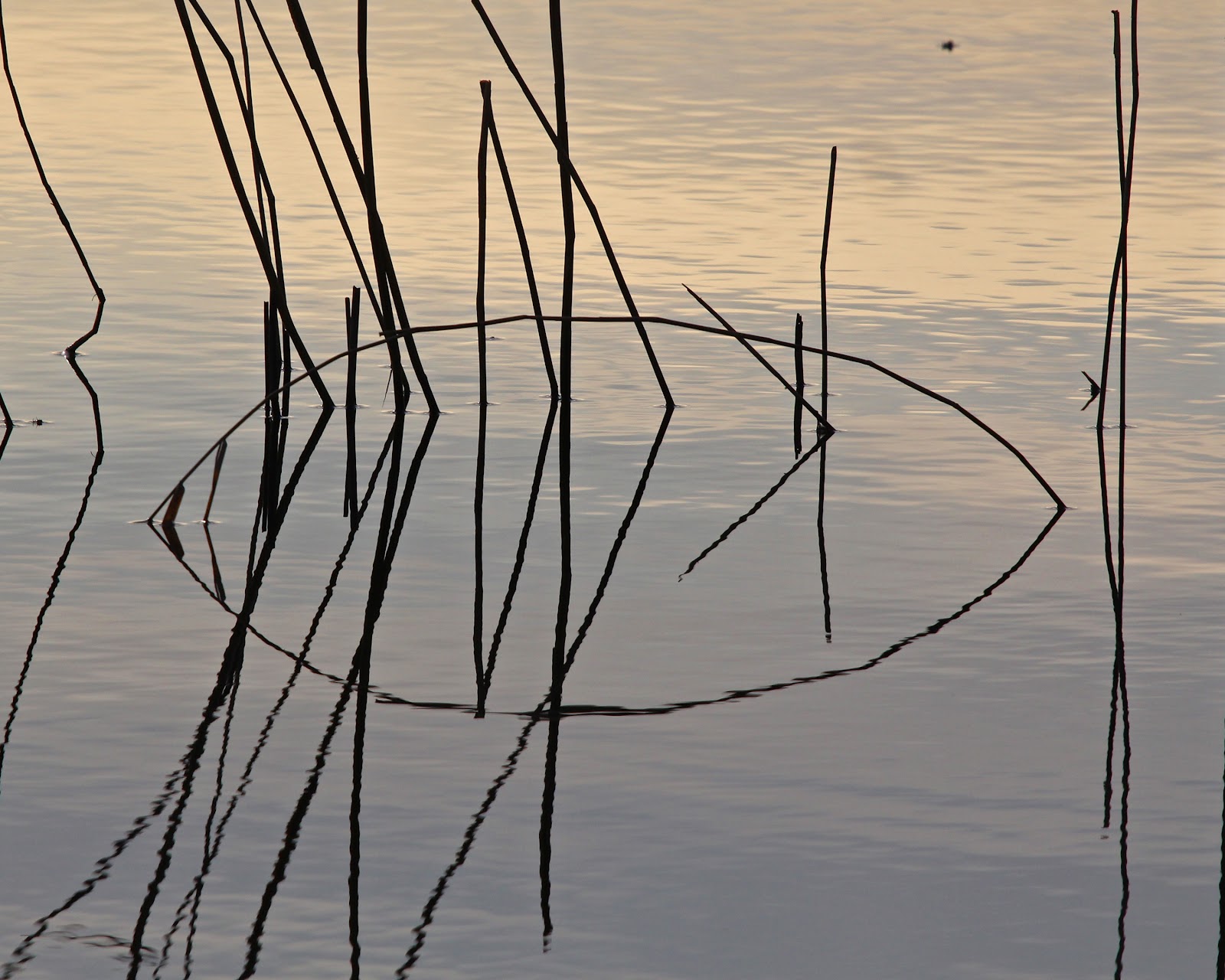 Away From Four Marks: March 2012