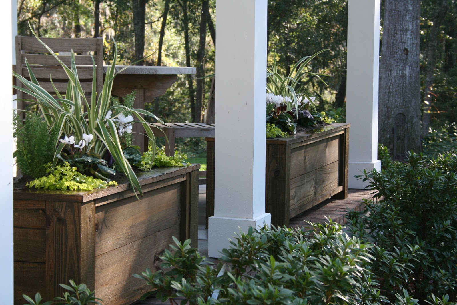 The Lowcountry Lady: Fall Winter Front Porch Flower Boxes